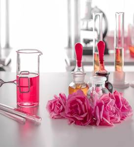 SORA COSMETICS | Technological Cosmetics Factory
